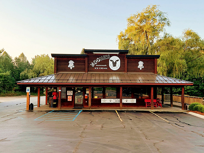 moomers homemade ice cream 9