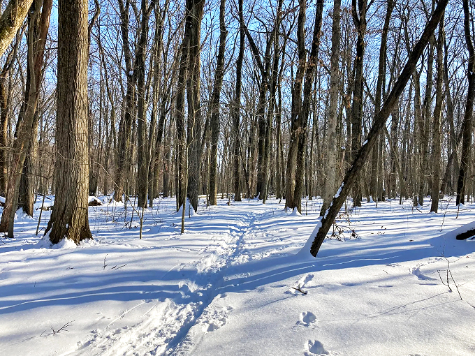 moraine view state park 6