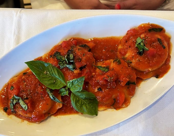 osteria rustica italian restaurant 8