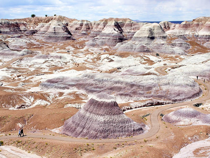 petrified forest national park 1