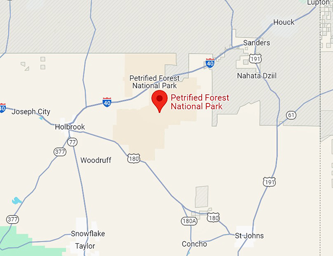 petrified forest national park 10 map