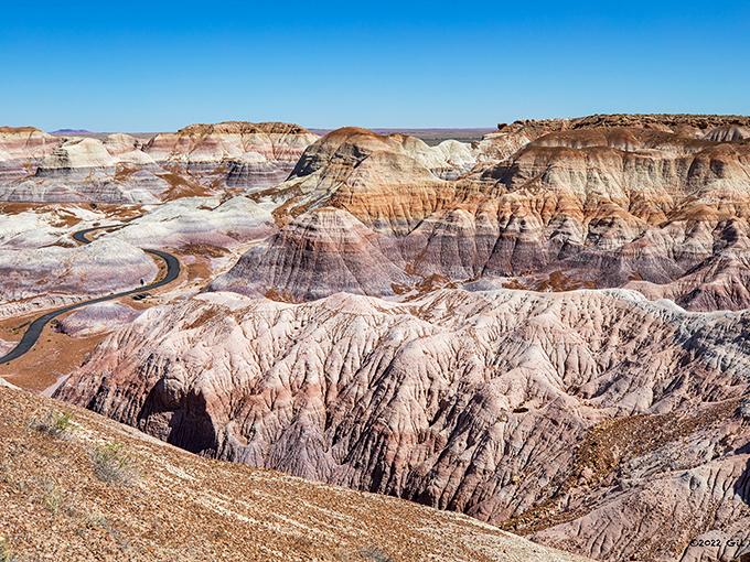 petrified forest national park 3
