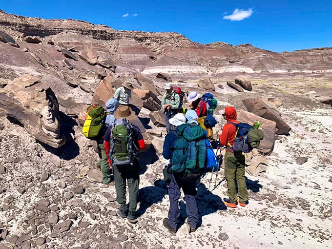 petrified forest national park 8