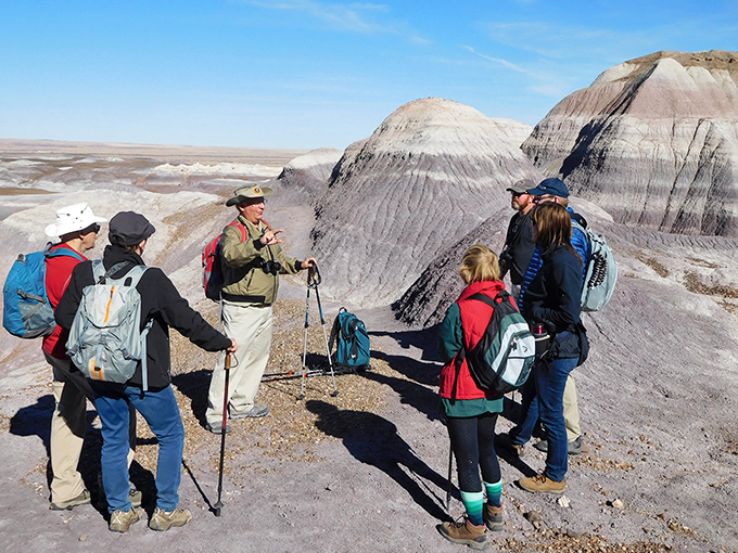 petrified forest national park 9