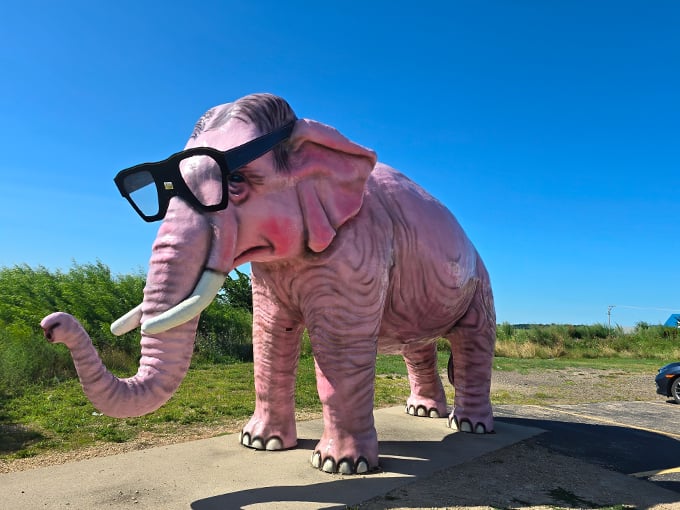 pinkie the elephant 1