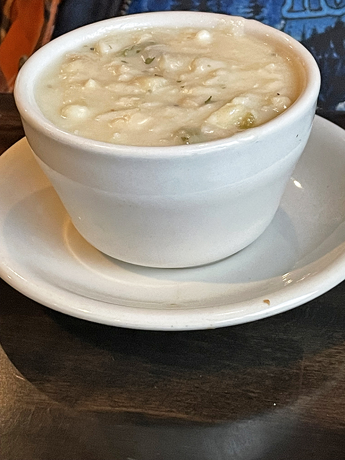 plier&rsquo;s full circle pub 3