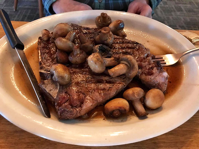 plier&rsquo;s full circle pub 4