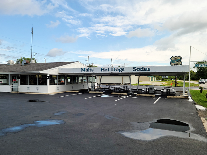 polk a dot drive in 2