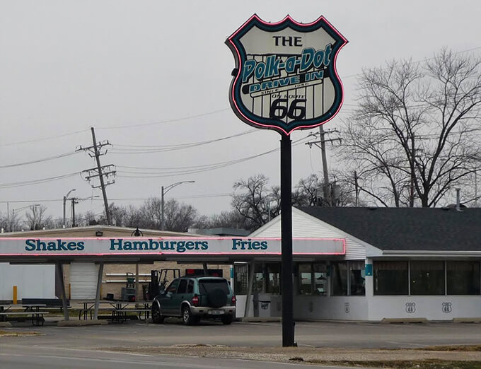 polk a dot drive in 5