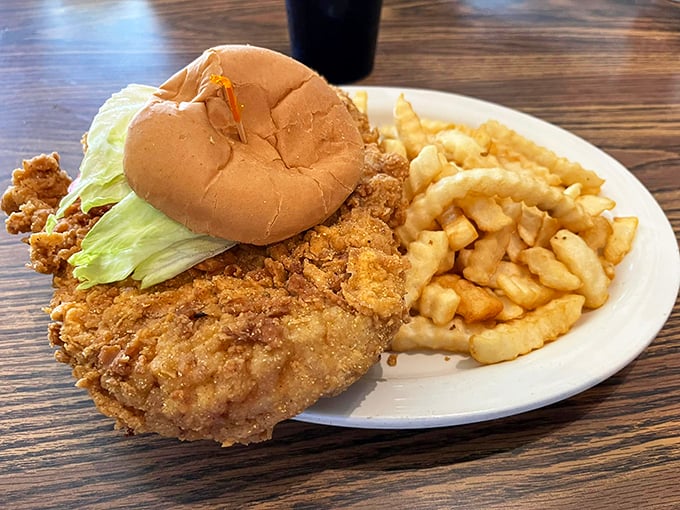 polk a dot drive in 5