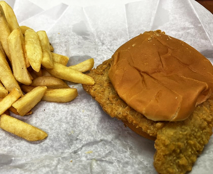 polk a dot drive in 6