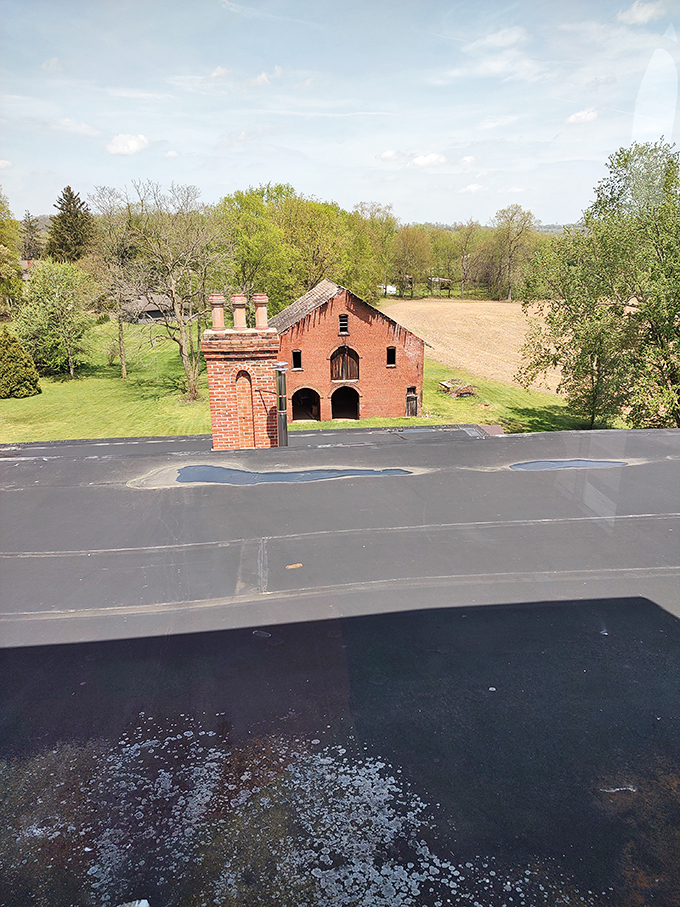 prospect place 7