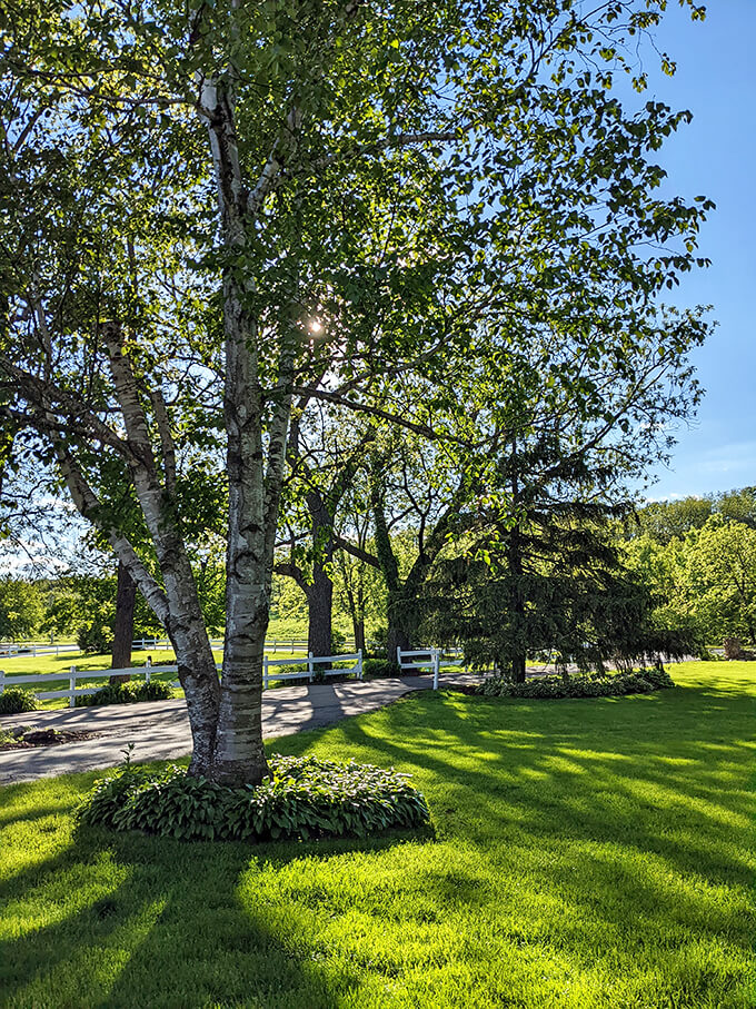 quivey's grove restaurant 3