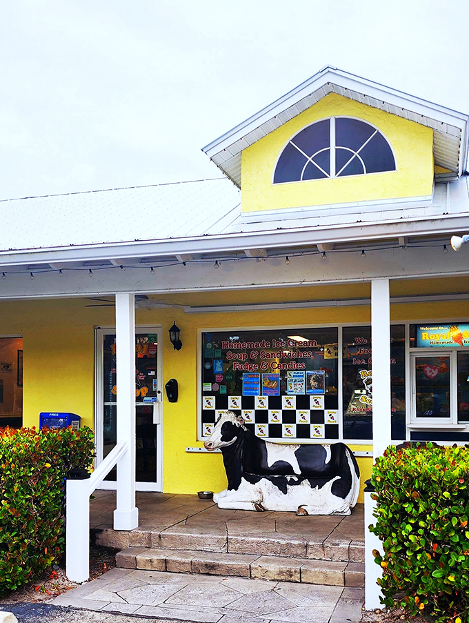 royal scoop homemade ice cream 1