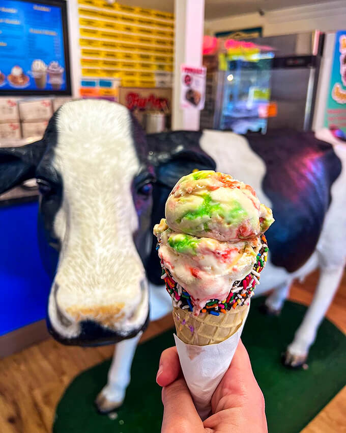 royal scoop homemade ice cream 4