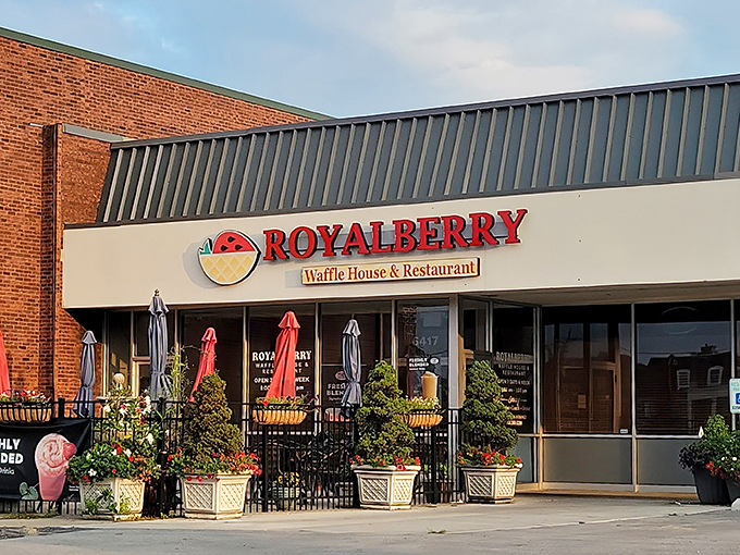 royalberry waffle house & restaurant 1