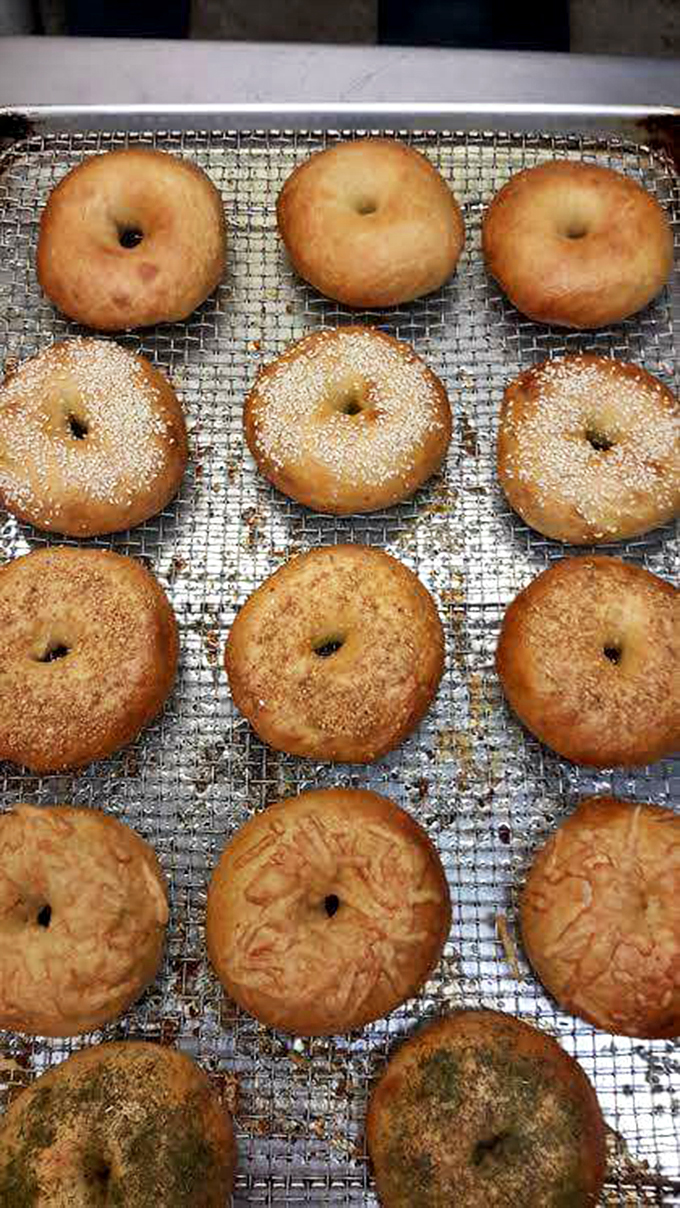 sandy's books and bakery 5