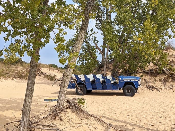 saugatuck dune rides 2