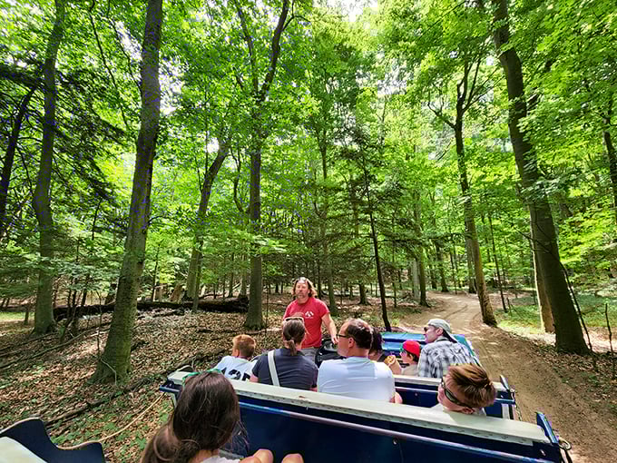 saugatuck dune rides 3