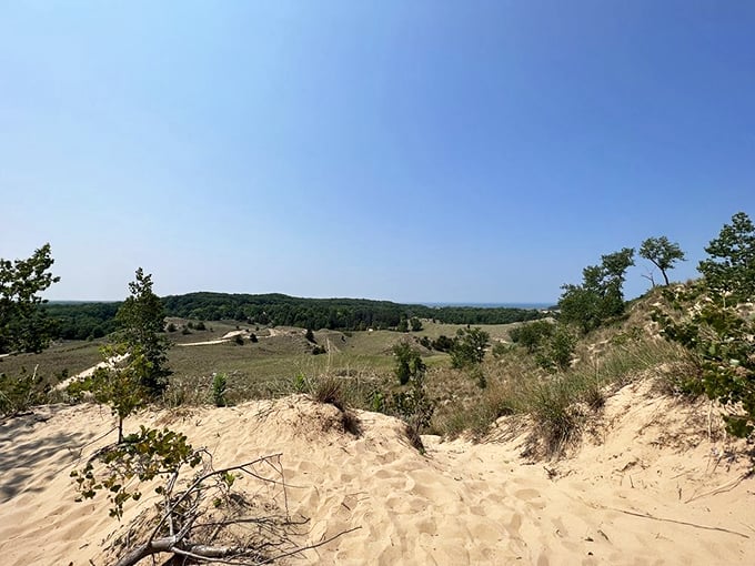 saugatuck dune rides 4