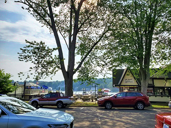 saugatuck dune rides 9