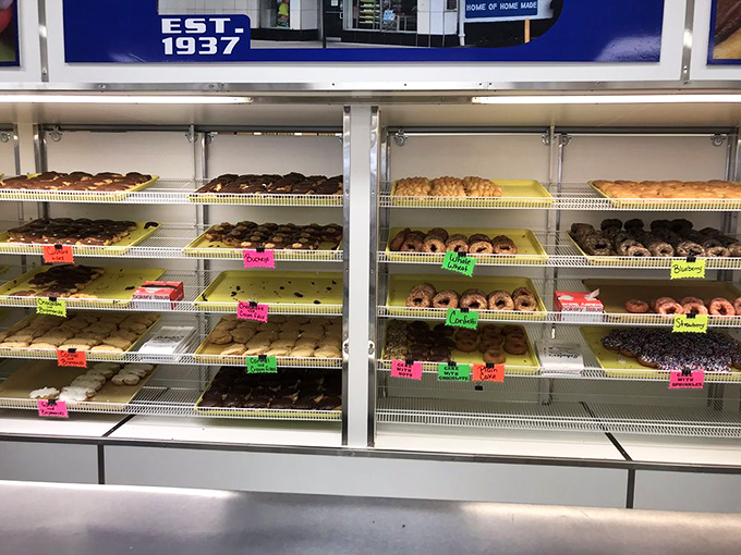 schuler's bakery limestone st. 9