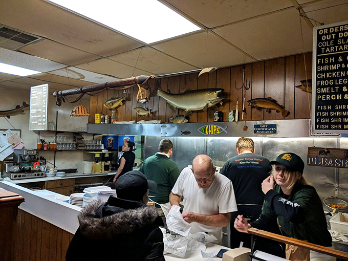 scotty simpson's fish & chips 6