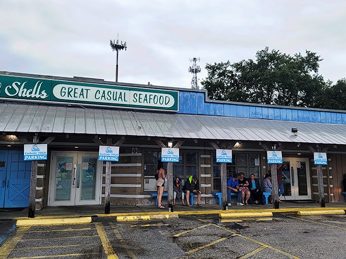 shells seafood 1