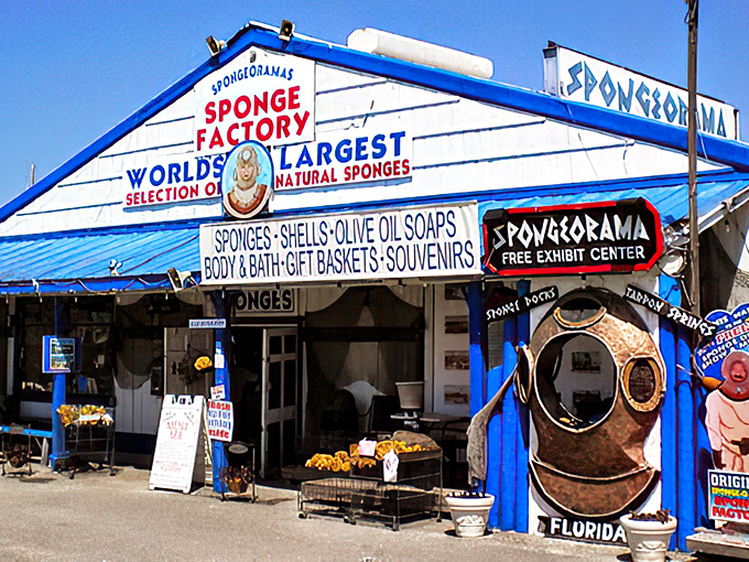 spongeorama sponge factory
