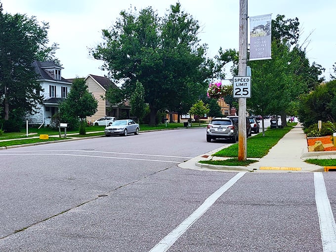 spring green general store 9