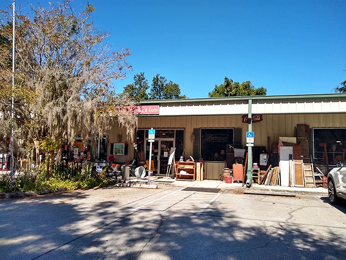 sugar bear antiques inc. 1