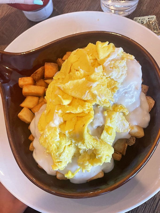 sunfield restaurant 4