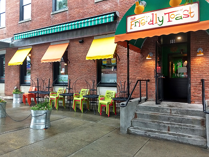 the friendly toast 1