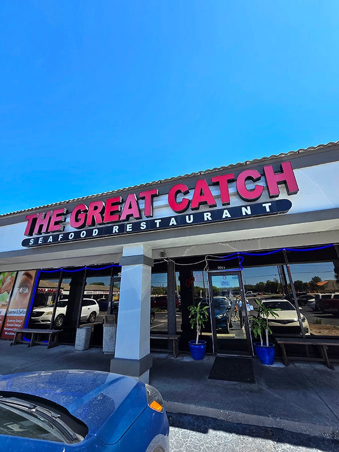 the great catch by taste of boston 1