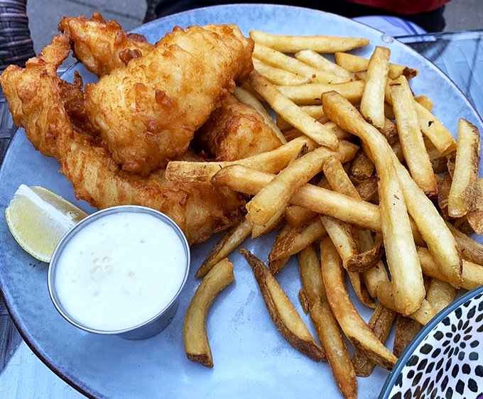 the harp and fiddle 6