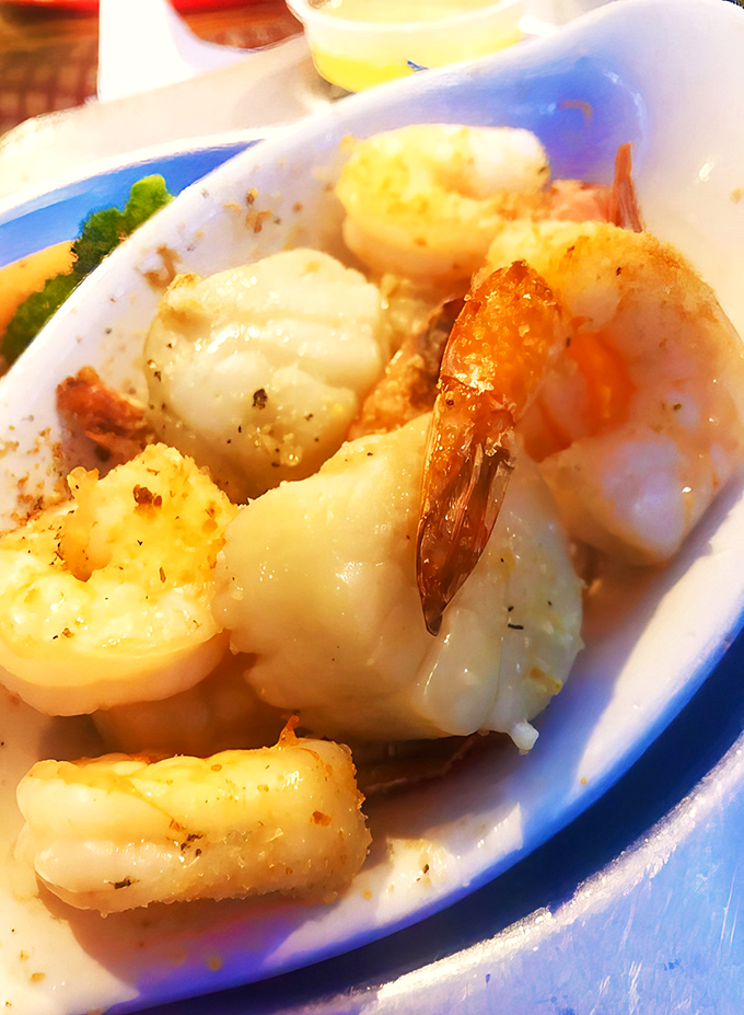 the new england moorings 5