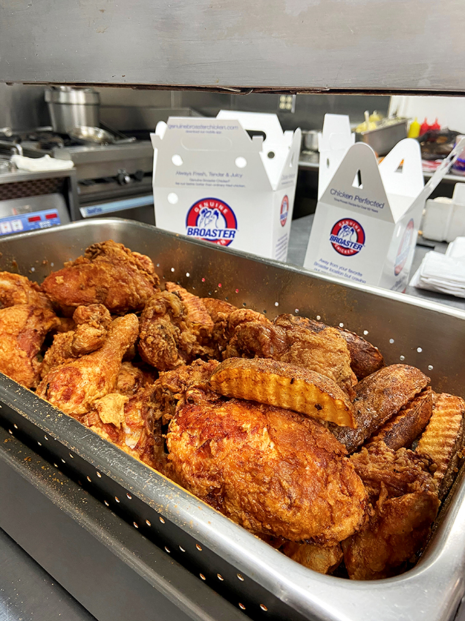 the northwestern house 3