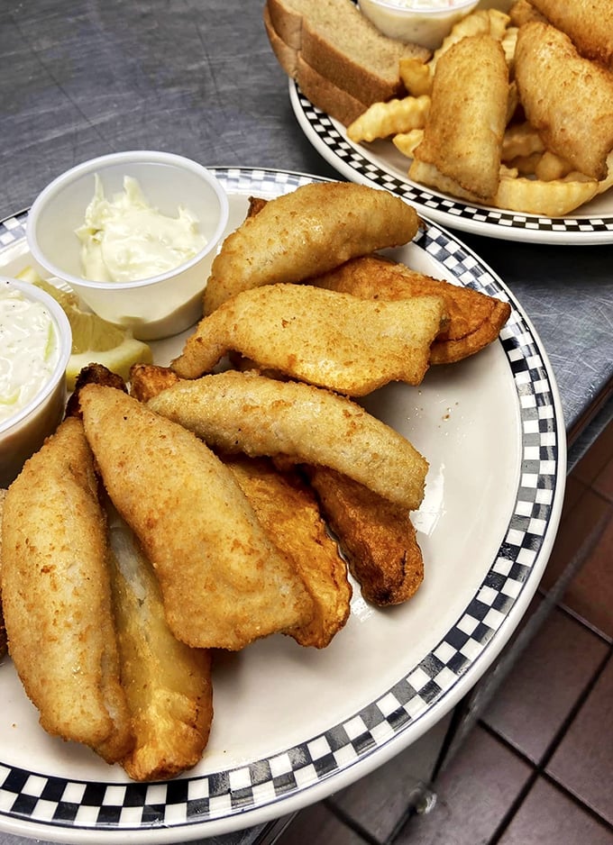 the northwestern house 8