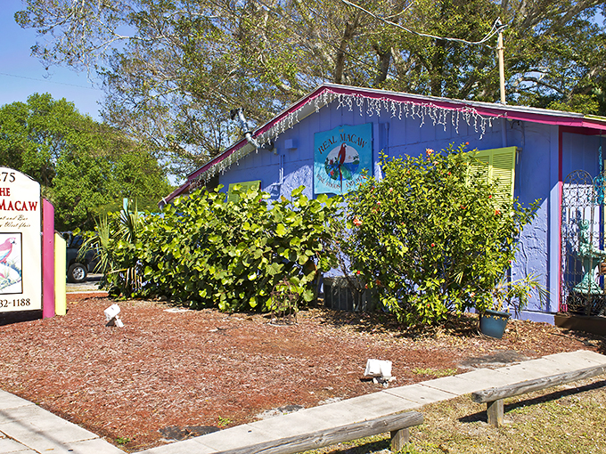 the real macaw restaurant 1