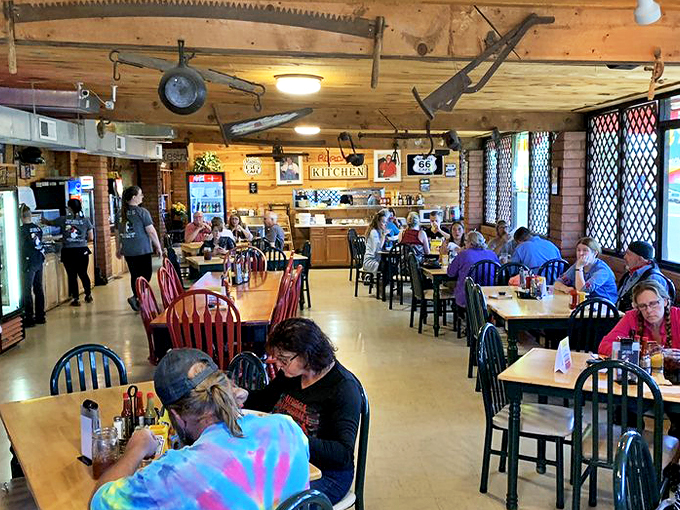 the roadkill cafe o.k. saloon 5