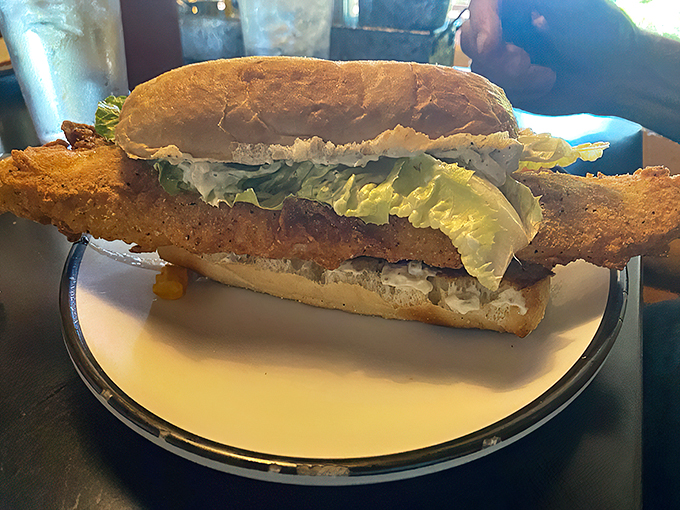 trail center lodge 3