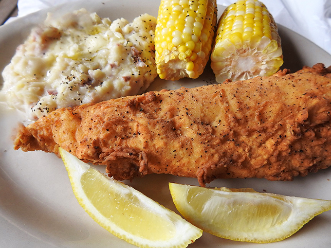 trail center lodge 4