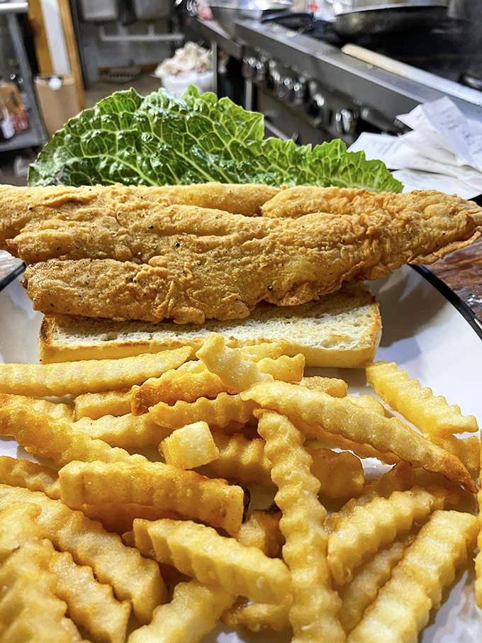 trail center lodge 5