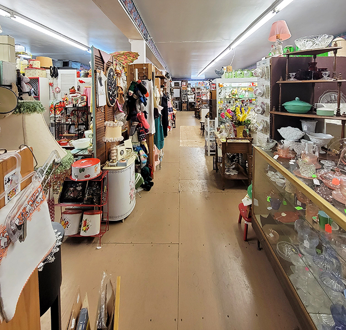 treasures under sugar loaf 4