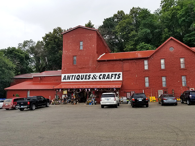 treasures under sugar loaf 8