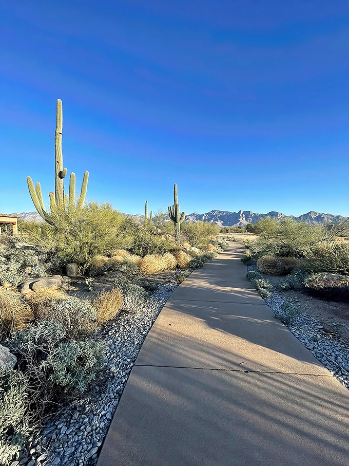 vistoso trails nature preserve 1