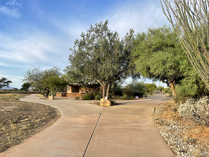 vistoso trails nature preserve 2