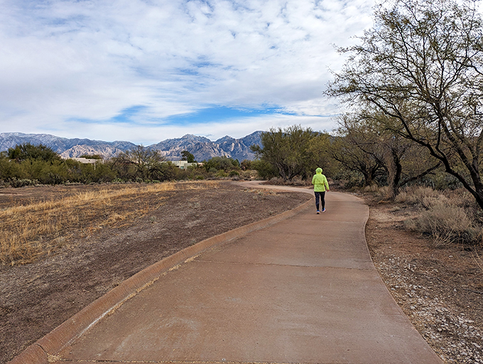 vistoso trails nature preserve 4
