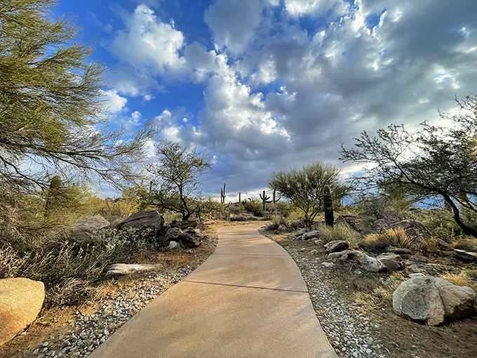 vistoso trails nature preserve 7