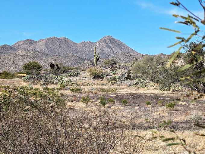 vistoso trails nature preserve 8